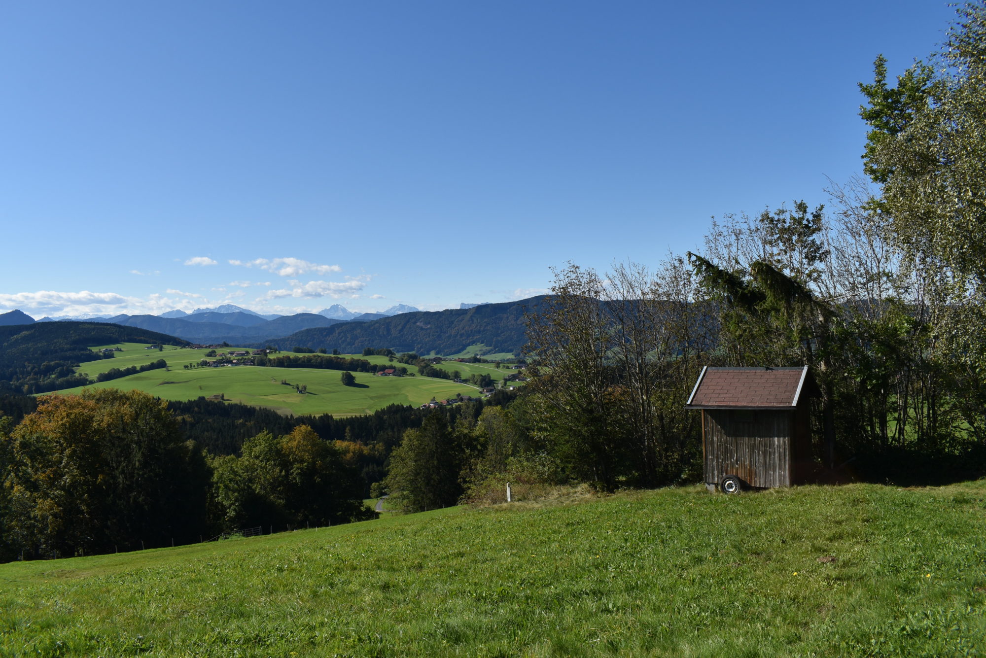 Zell am Moos – Le Lapin Voyageur visite…