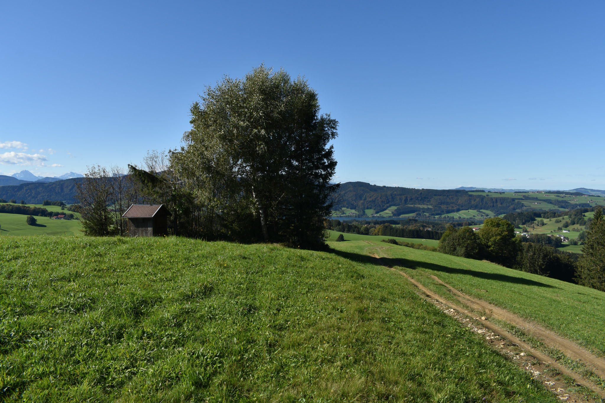 Zell am Moos – Le Lapin Voyageur visite…