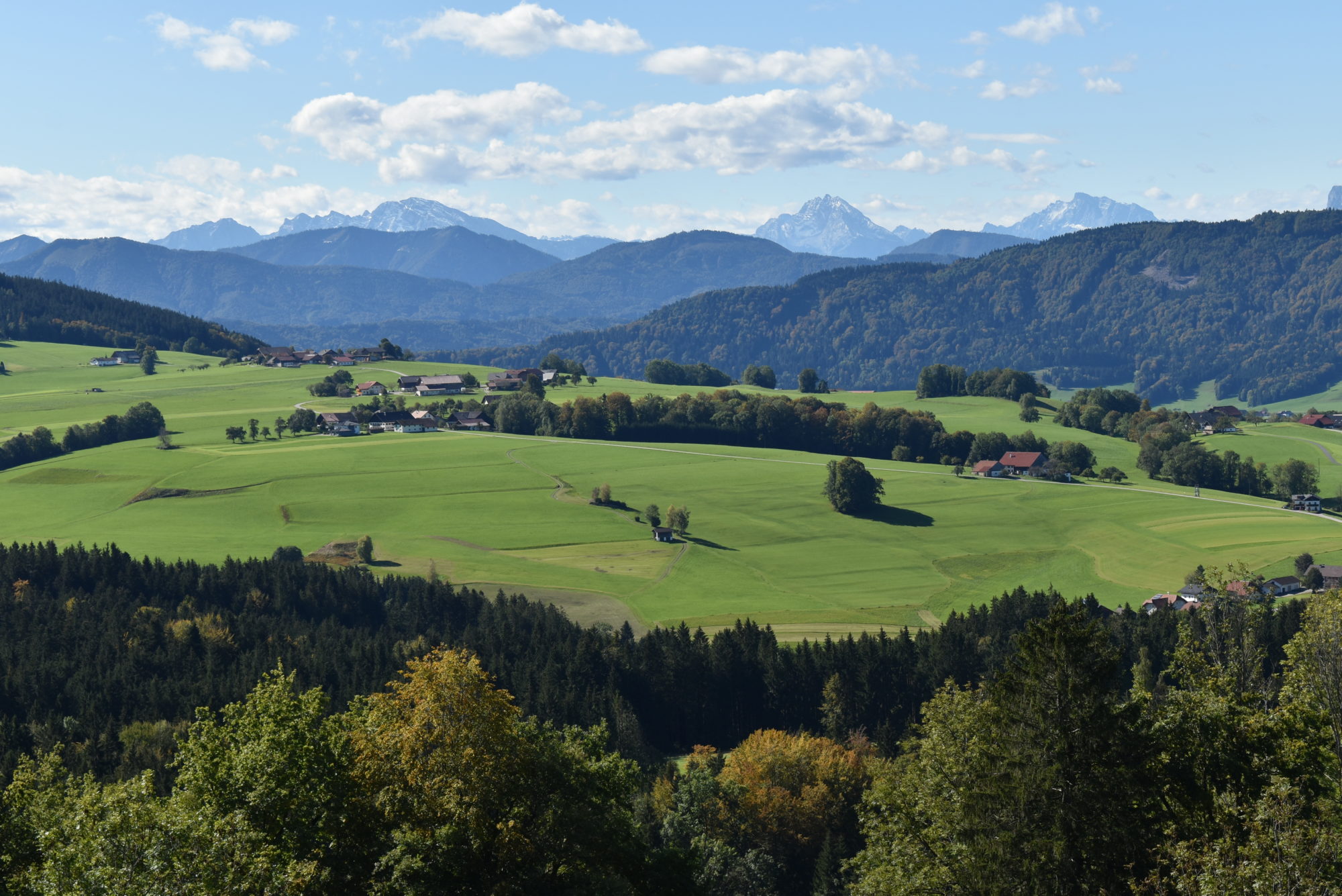 Zell am Moos – Le Lapin Voyageur visite…