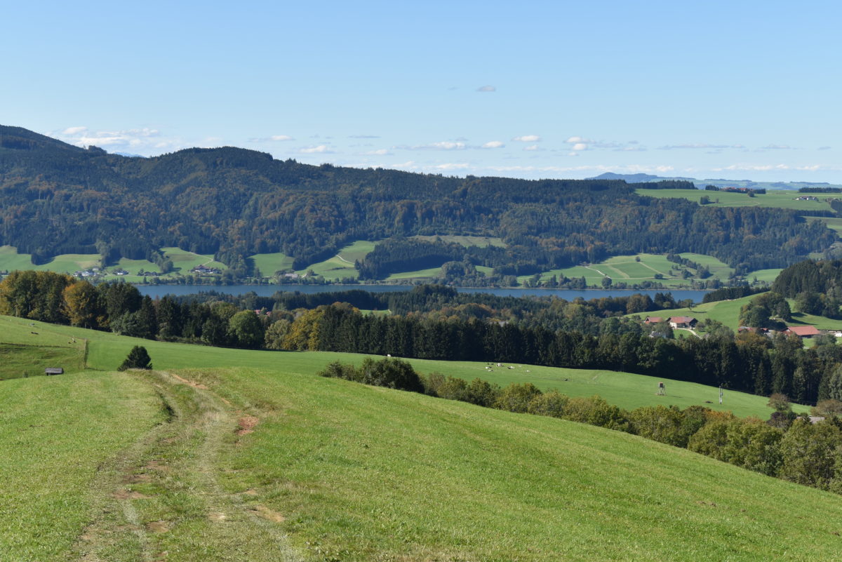 Zell am Moos – Le Lapin Voyageur visite…